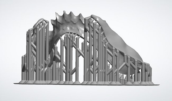 Graphy Tera Herz Flexible Base - Printed Partial Denture Review